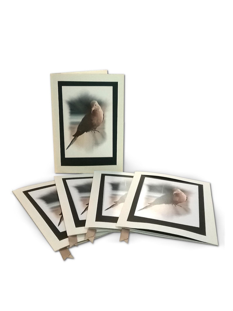 Mourning Dove Bird Art Cards, Set of 5, Frameable Prints, Artisan ...