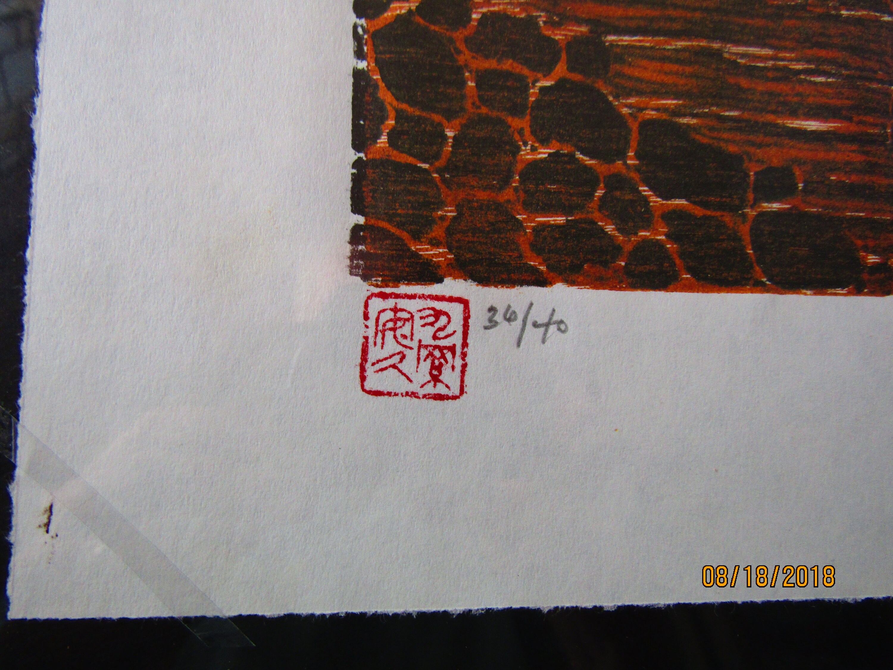 Lizard Gecko Reptile Woodcut Engraving Hand Carved Woodblock - Etsy