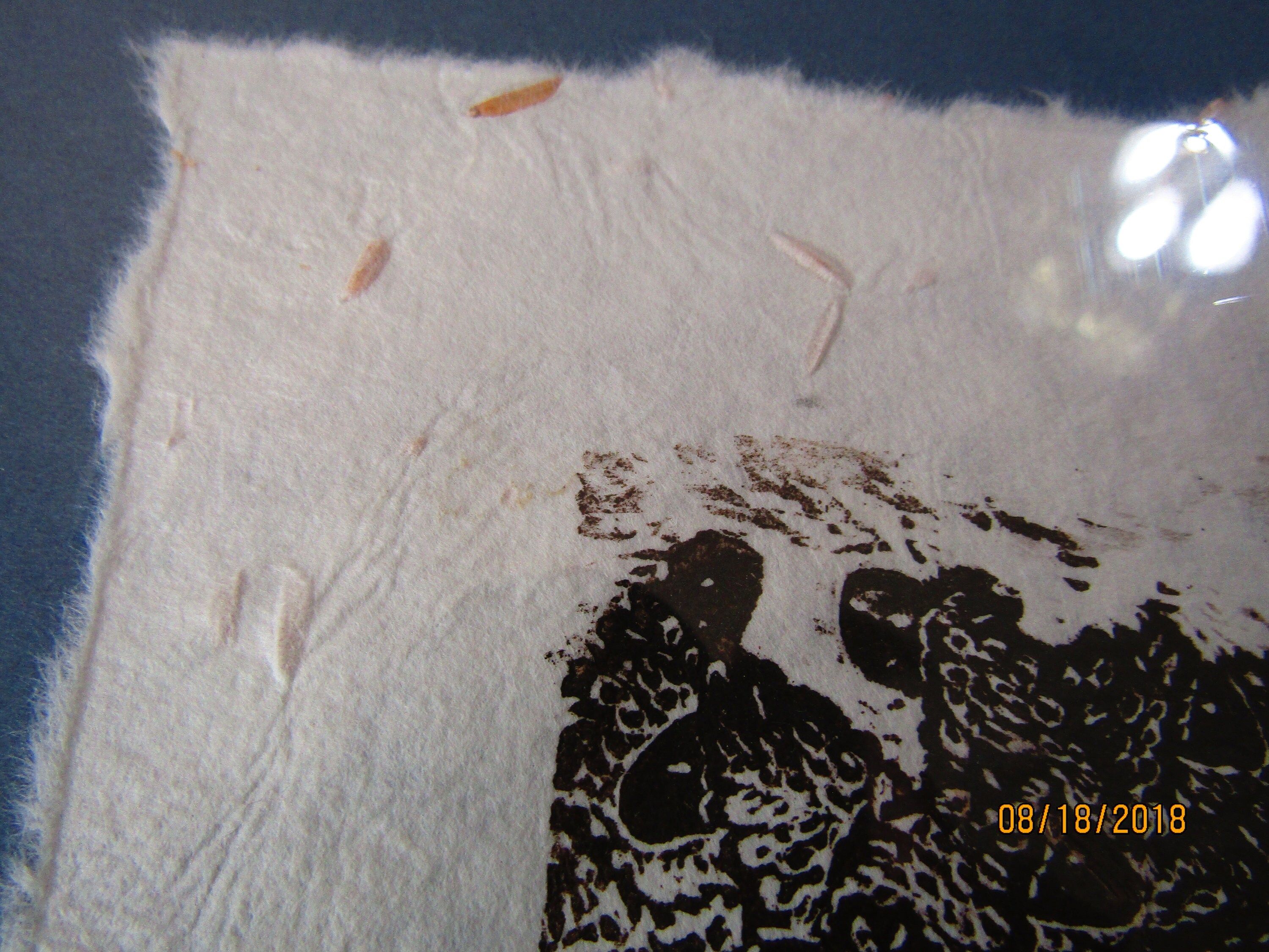 Sheep Flock Lambs Wool Woodcut Engraving Woodblock Print | Etsy