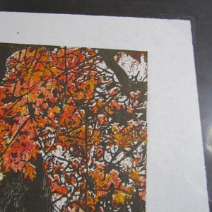 Up A Maple Tree Original Hand Carved Woodblock Print Japanese | Etsy