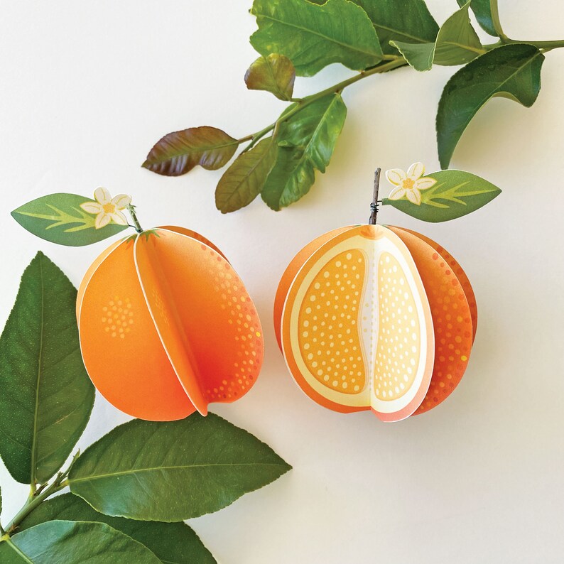 Handmade Paper Oranges: Cottagecore Home Decor, Set of 2 - Etsy