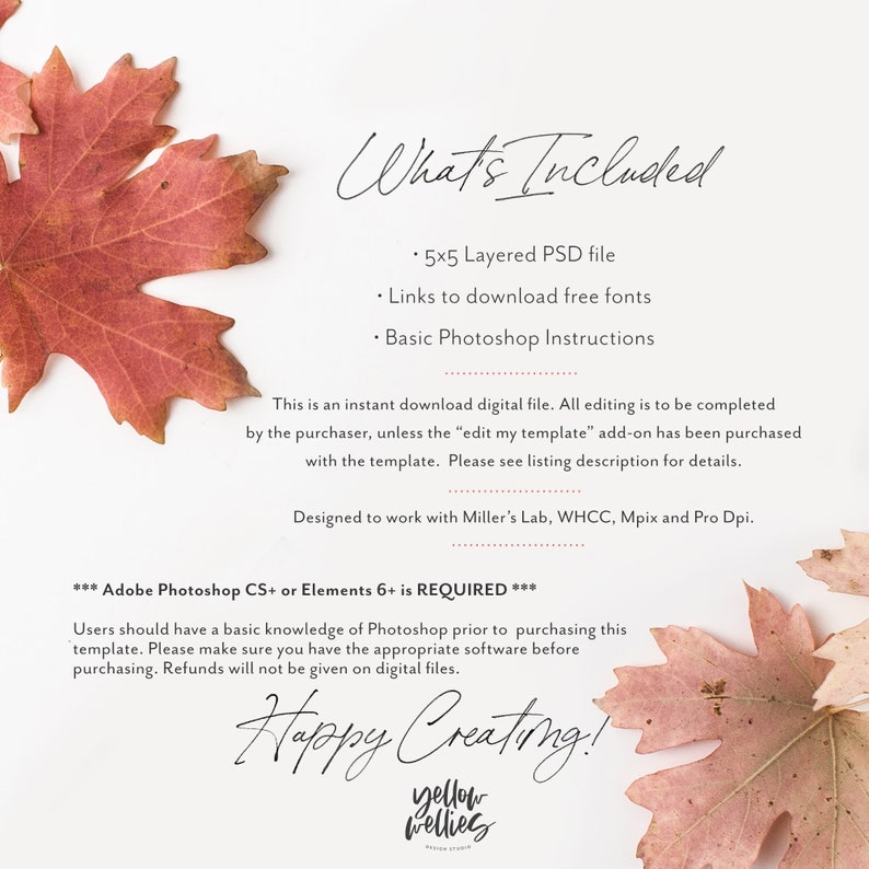 Fall Minis Script Photoshop Template for Photographers - Etsy