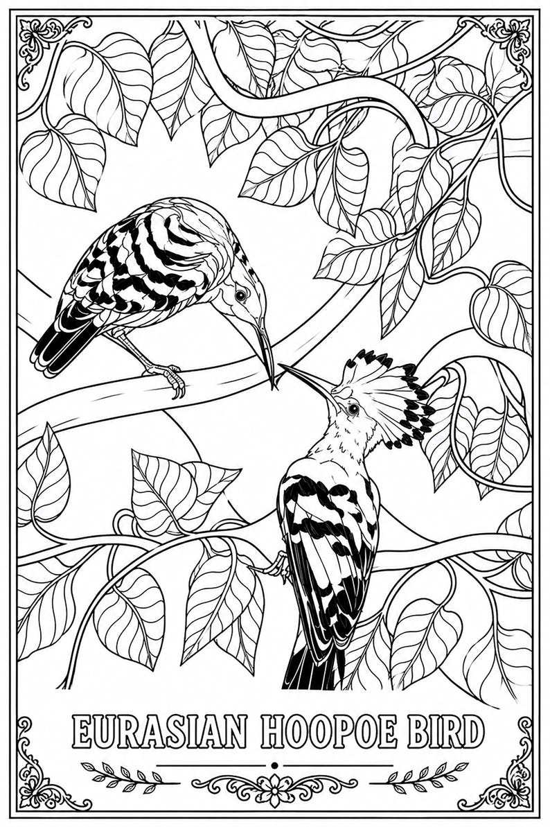 Hand Drawn Eurasian Hoopoe Bird Educational Coloring Poster- Wildlife ...