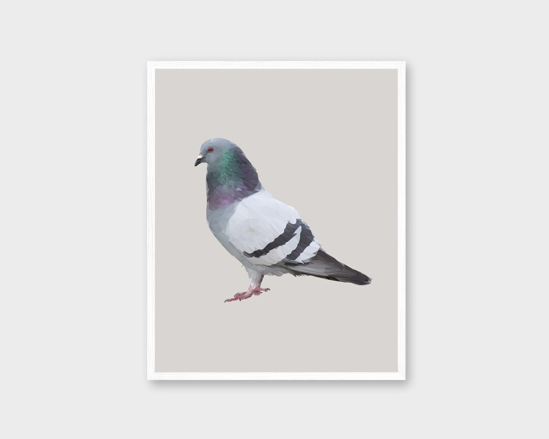 Minimalist Pigeon Art Print | Printable Pigeon Illustration | Neutral ...