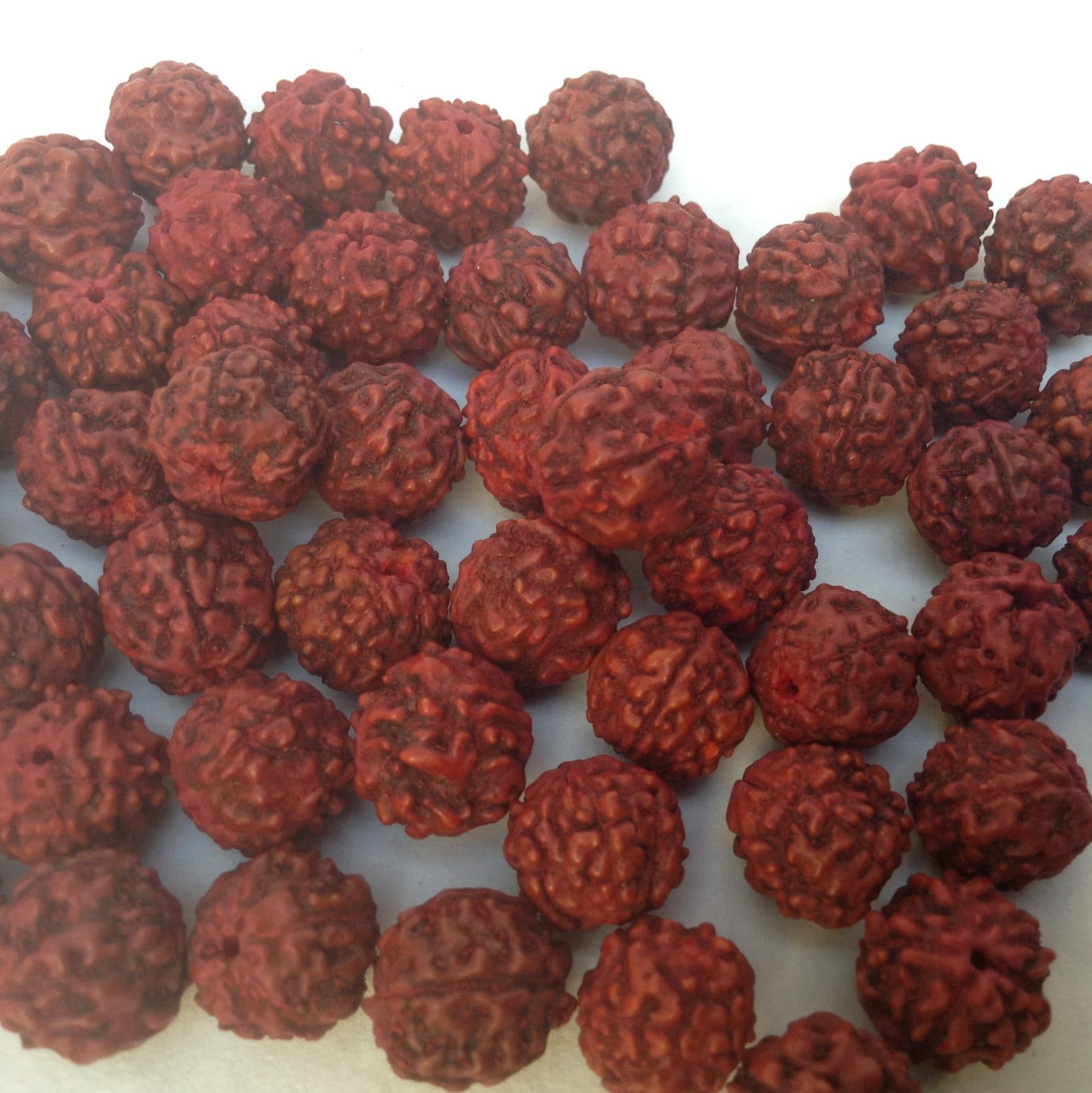 8mm Rudraksha rudraksh Traditional Red Stained Holy Beads | Etsy