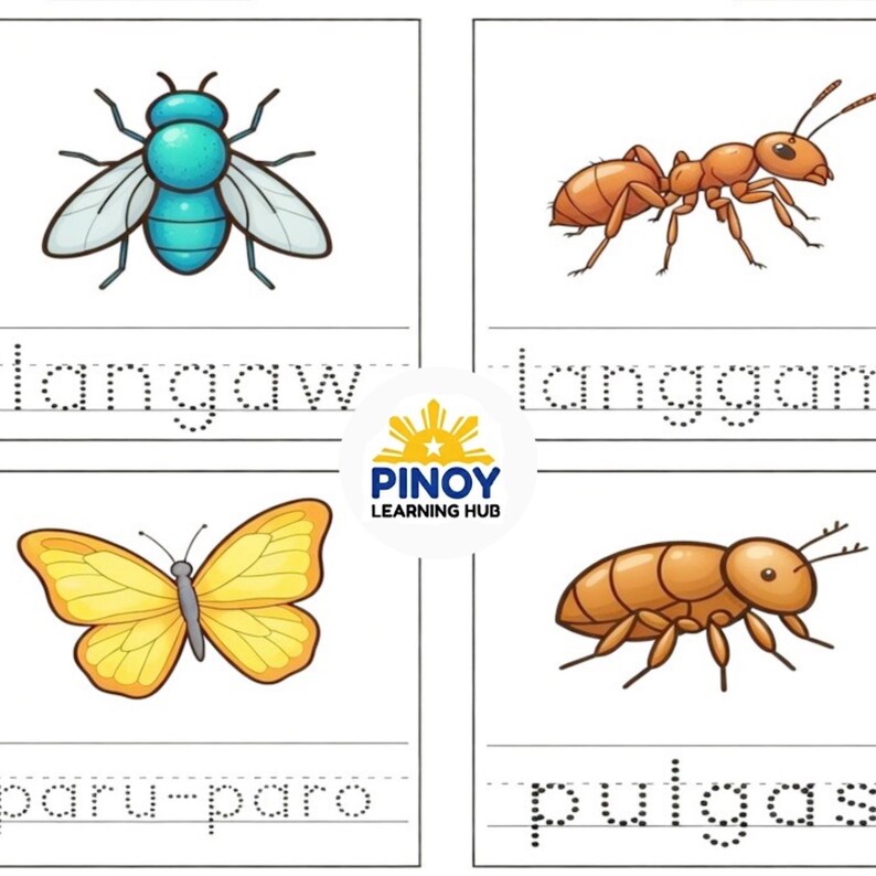 Tagalog Mga Insekto Worksheets | Filipino Insects Vocabulary Tracing ...