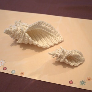 Crochet Conch Shell and Starfish Sea Shell Pattern INSTANT DOWNLOAD PDF ...
