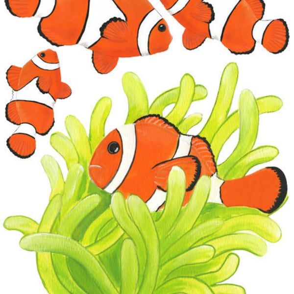 Clown Fish Stickers - Etsy