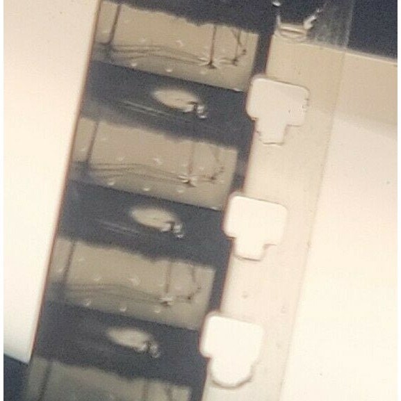 Vintage Walter Lantz 8mm Film 8 Mm Movie Cartoon 5 Reel Dapper Denver ...