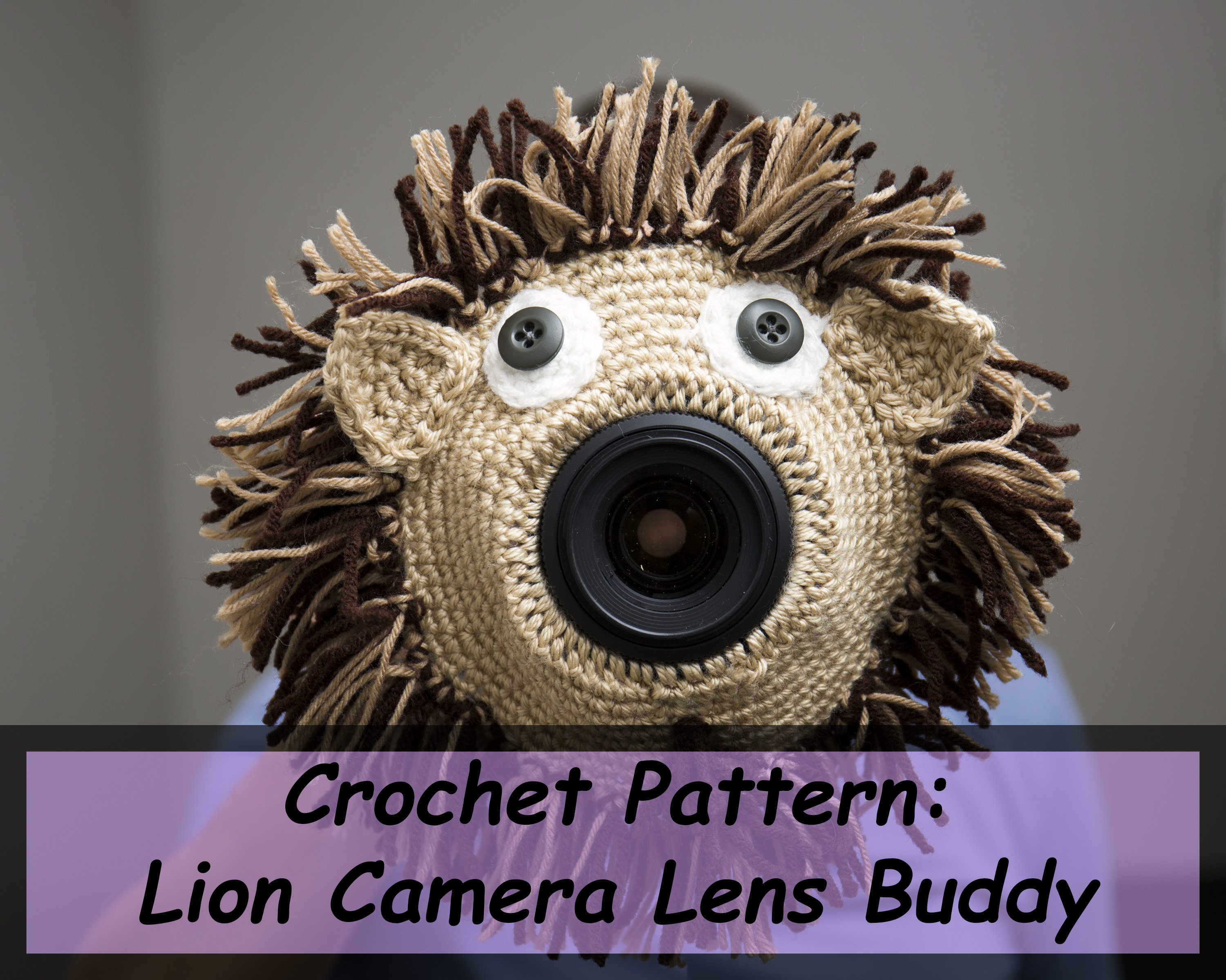 Crochet Pattern, Camera Buddy, Lens Buddy, Photo Prop Pattern, Lion ...