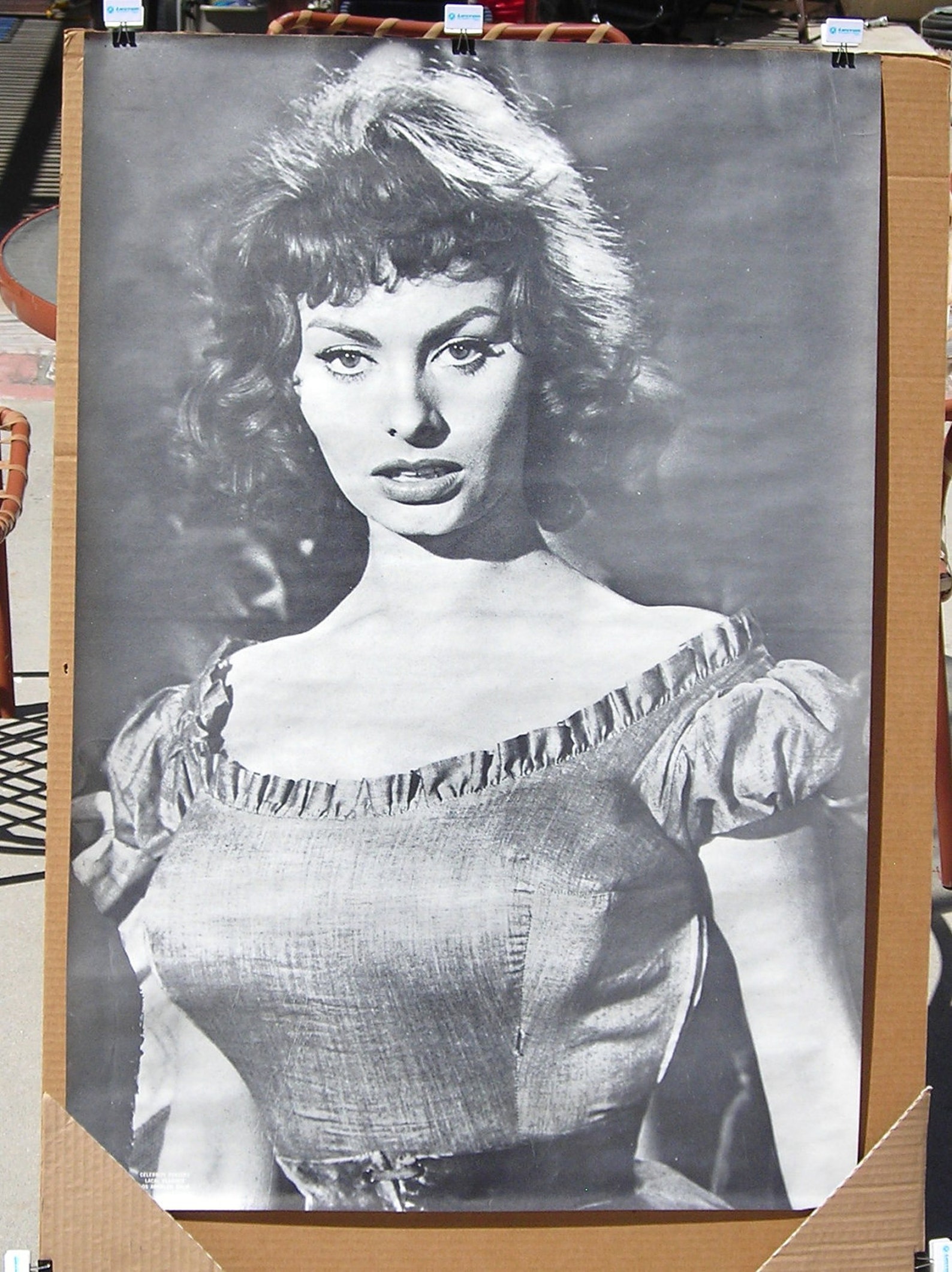 Vintage 1960s Celebrity Movie Posters B&W Sophia Loren | Etsy