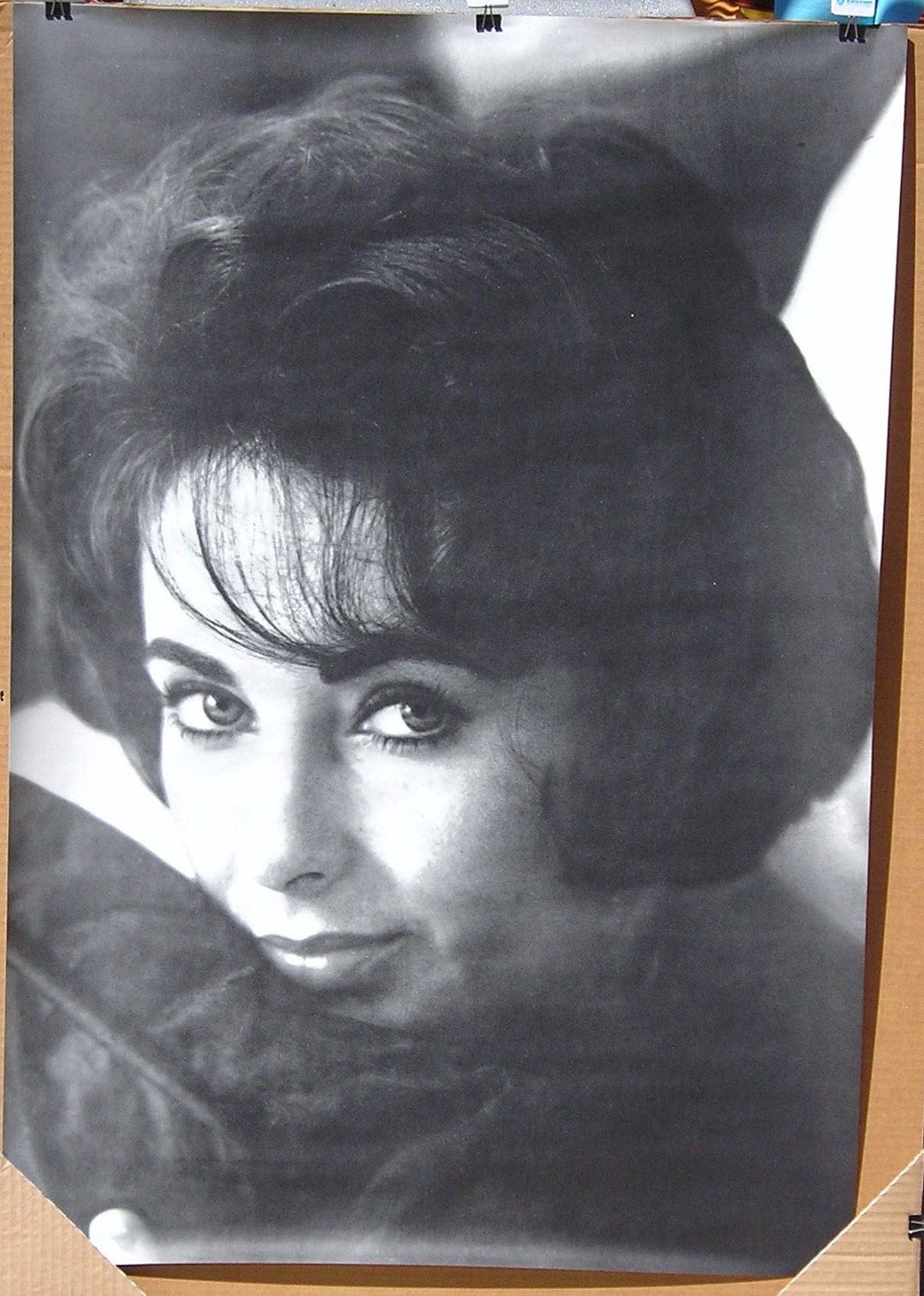 Vintage B&W 1960s No. 61 Elizabeth 'liz' Taylor Poster NOS Trilby ...