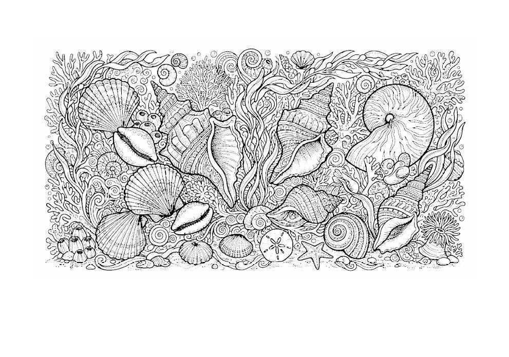 Seashell Coloring Page | Ocean Coastal Art | Adults Kids (PDF Download ...