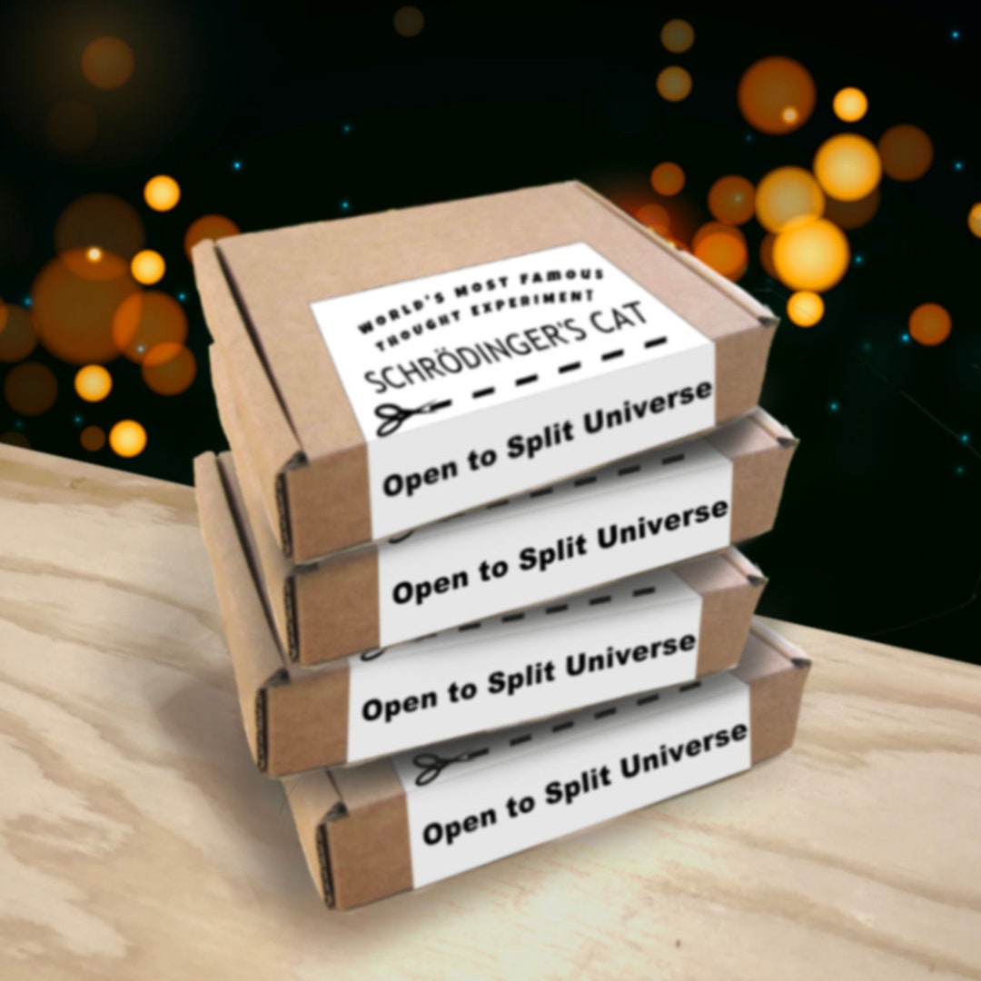 Schrödinger's Cat Enamel Pin: Mystery Science Gift - Set of 4 FREE POST - Physics, College, Nerd ...