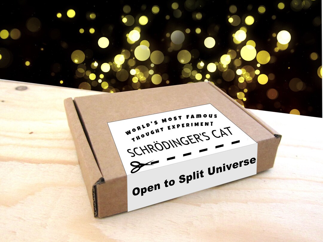Schrodinger's Cat in a Box enamel Pin Physics College - Etsy Canada