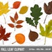 Digital Download Fall Leaves Instant Fall Leaf Clipart | Etsy