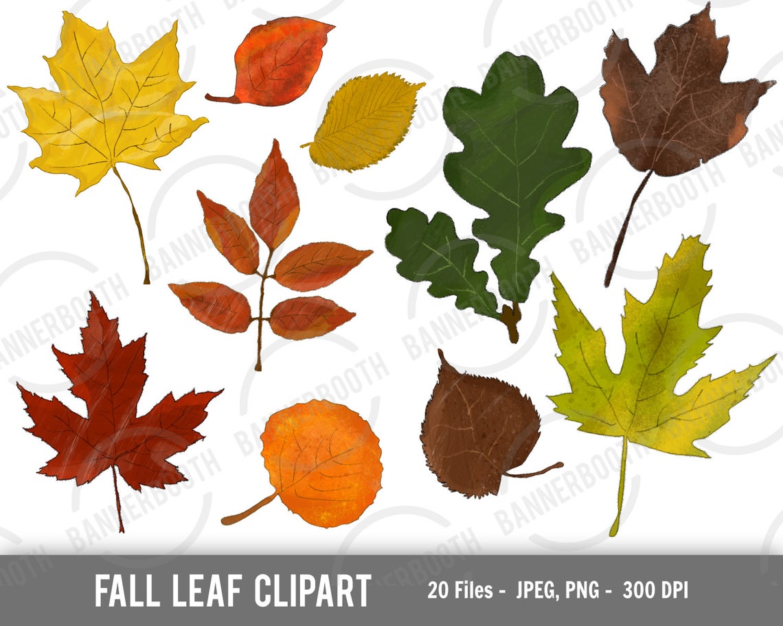 Digital Download Fall Leaves, Instant Fall Leaf Clipart, Autumn Leaves ...