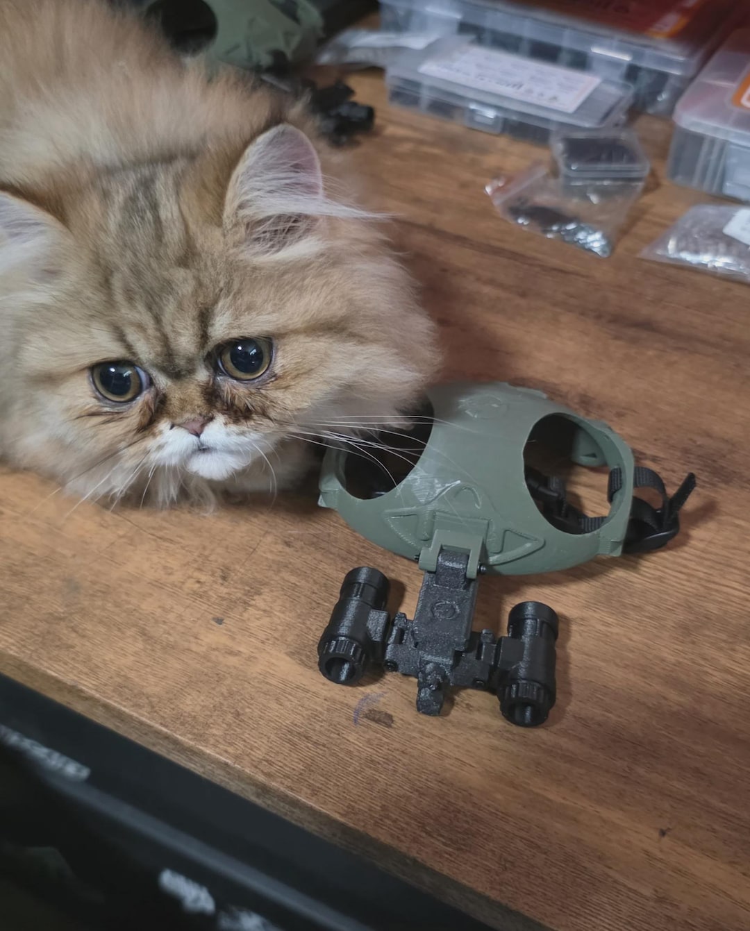 Gravity Tactical KIBBLE6 Bump Helmet and Nods - Etsy