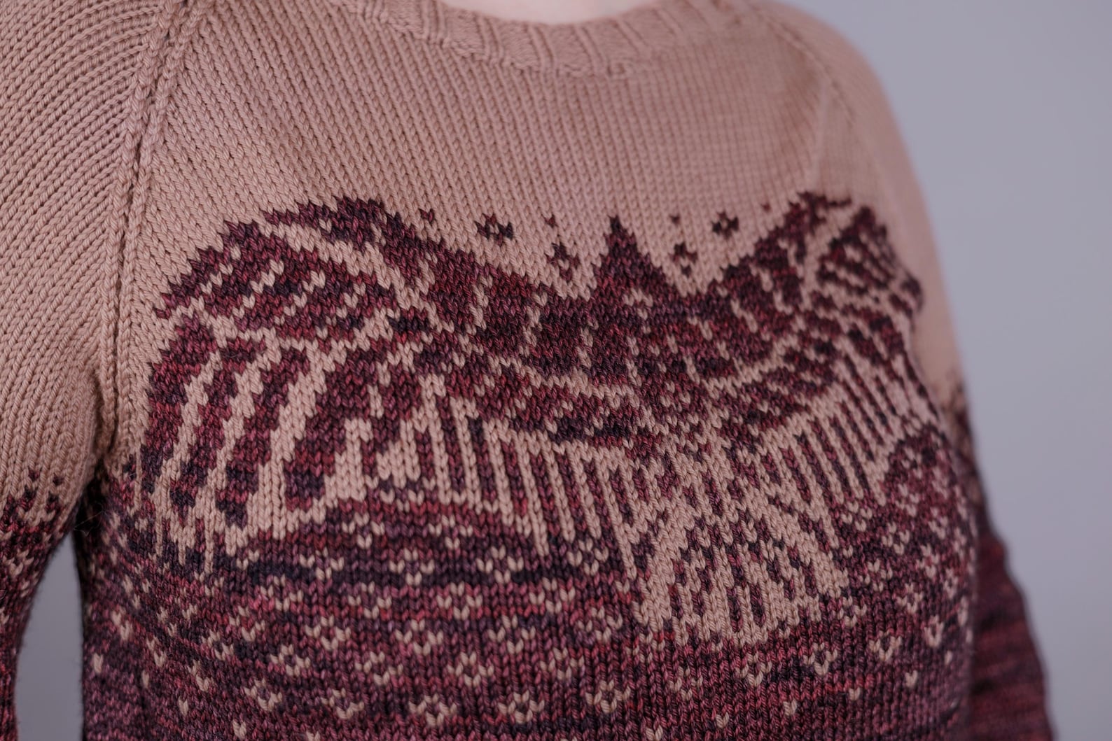 Knitting Pattern - Taking Flight Bird Sweater - Etsy