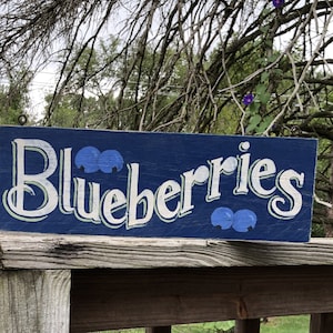 BLUEBERRIES Sign/blue Sign/hand Painted/antique Reproduction Sign ...