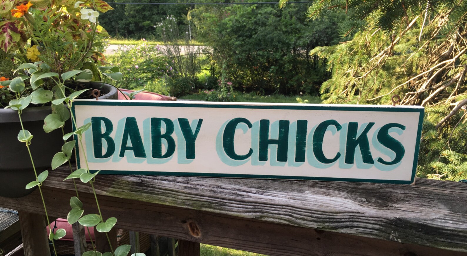 BABY CHICKS Sign/hand Painted Sign/antique Reproduction | Etsy