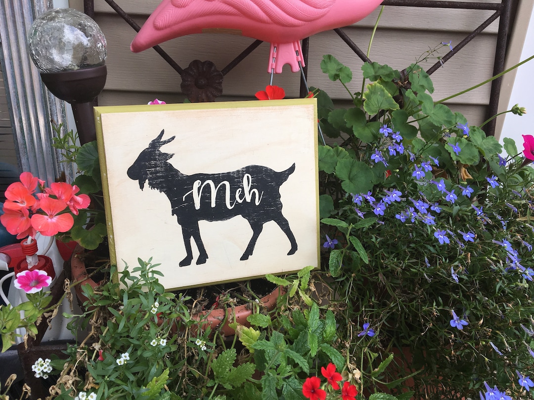Goat"meh" Sign/hand Painted Sign/folk Art Sign/farmhouse Sign/kitchen ...