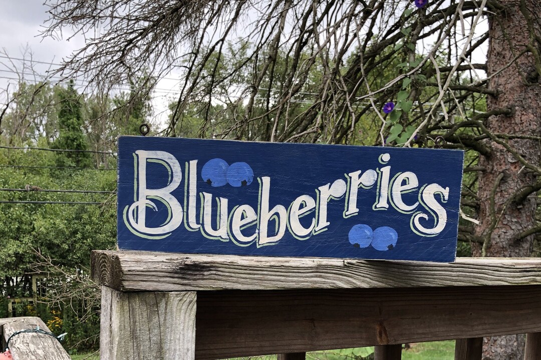 BLUEBERRIES Sign/blue Sign/hand Painted/antique Reproduction Sign ...
