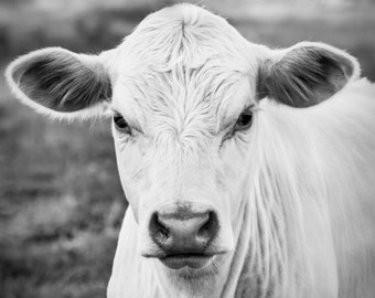 Cow print number | Etsy