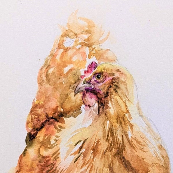 Chicken Watercolor - Etsy