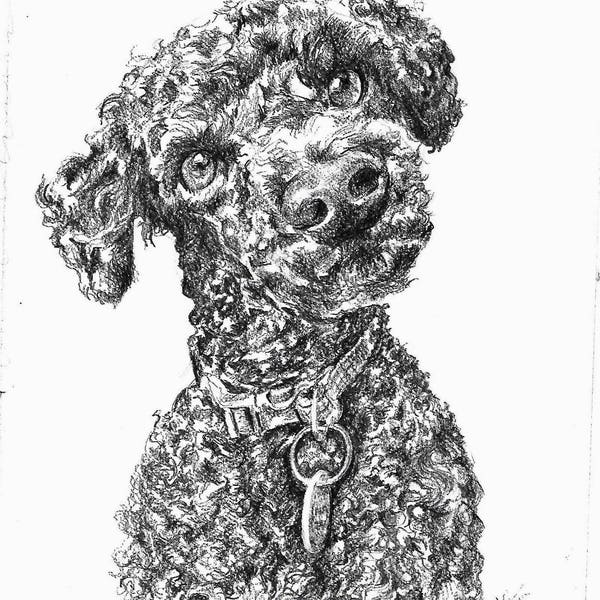 Pencil Drawing - Etsy