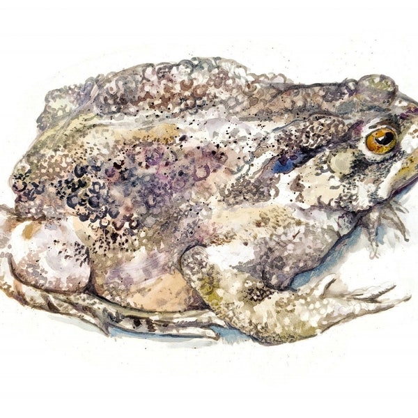Toad Painting - Etsy