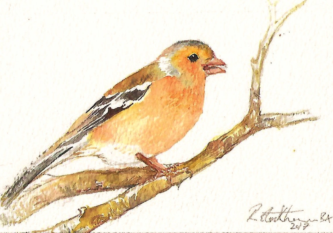 Chaffinch Painting Original Watercolor - Etsy UK