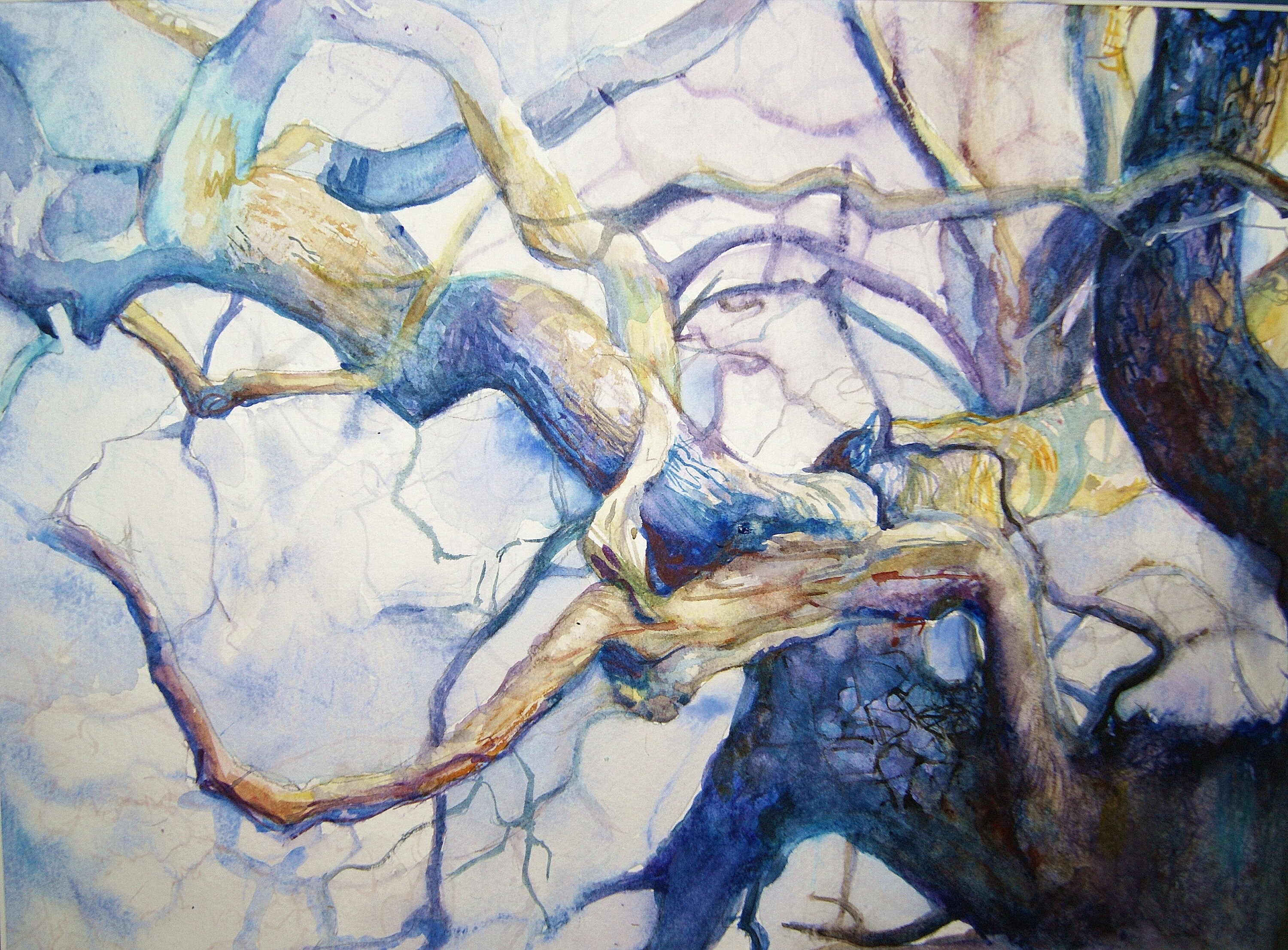 Abstract Tree Branch Paintings