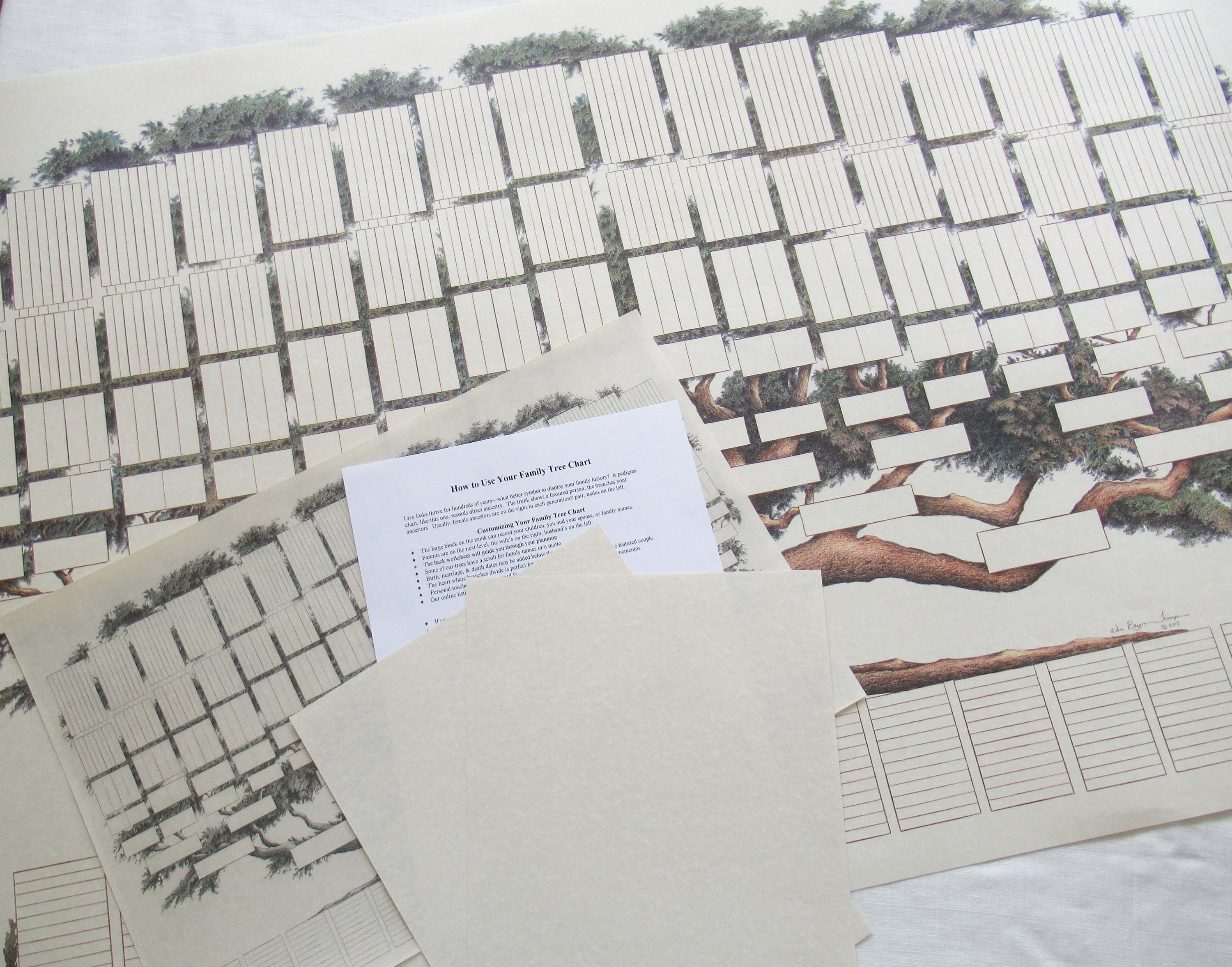 9 Generation Family Tree Chart on Fine Paper by Artist Raymon Troup - Etsy