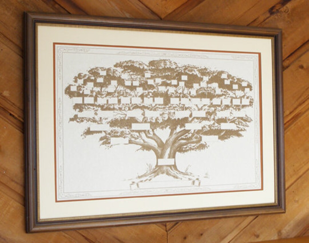 Family Tree Chart Displays 6-7 Generations on 23x35" Ivory Paper by ...