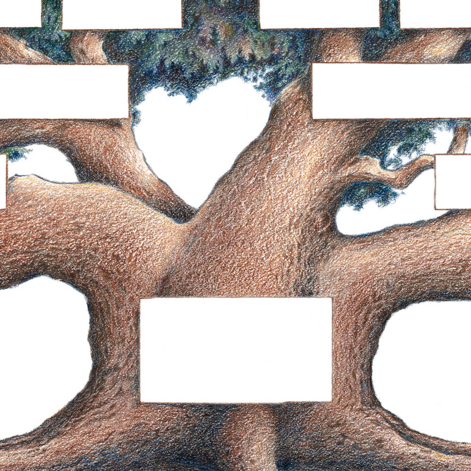 9 Generation Family Tree Chart on Fine Paper by Artist Raymon Troup - Etsy