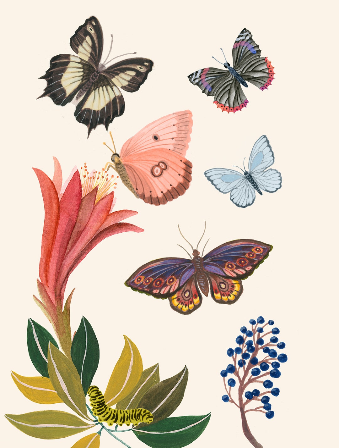 Butterflies and Caterpillar Garden- Giclee Print- Botanical ...