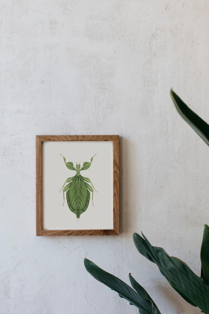 Leaf Bug: Handpainted Watercolor Ilustration. Botanical - Etsy