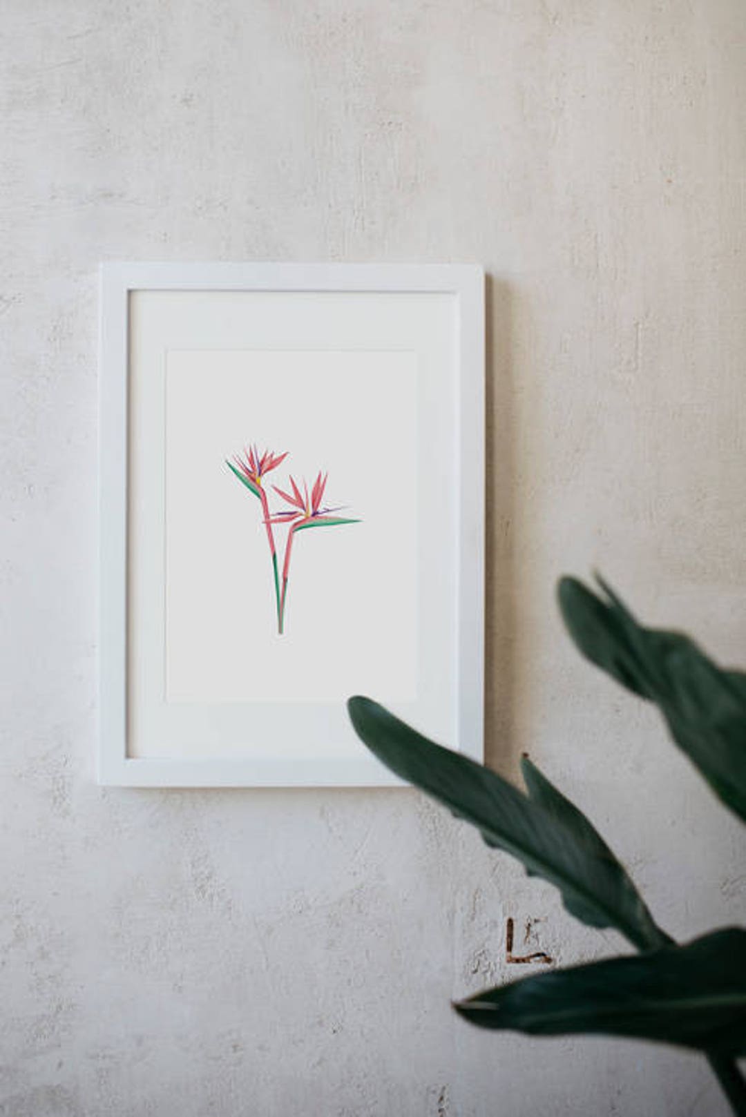 Strelitzia Reginae, Bird of Paradise, Botanical, Watercolour Flowers ...