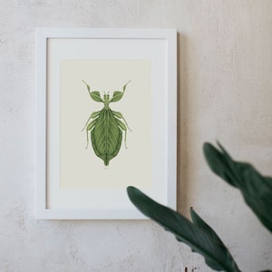 Leaf Bug: Handpainted Watercolor Ilustration. Botanical Drawings of ...