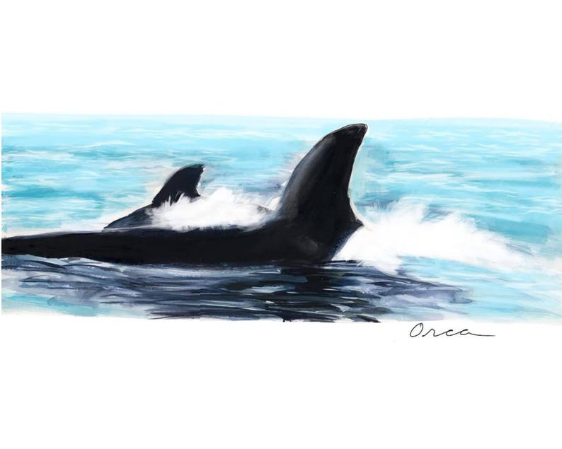 Mother and Baby Orca Art Print: Blue Ocean Sea Life Coastal Decor - Etsy