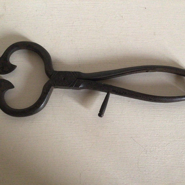 Antique Sugar Cutter - Etsy