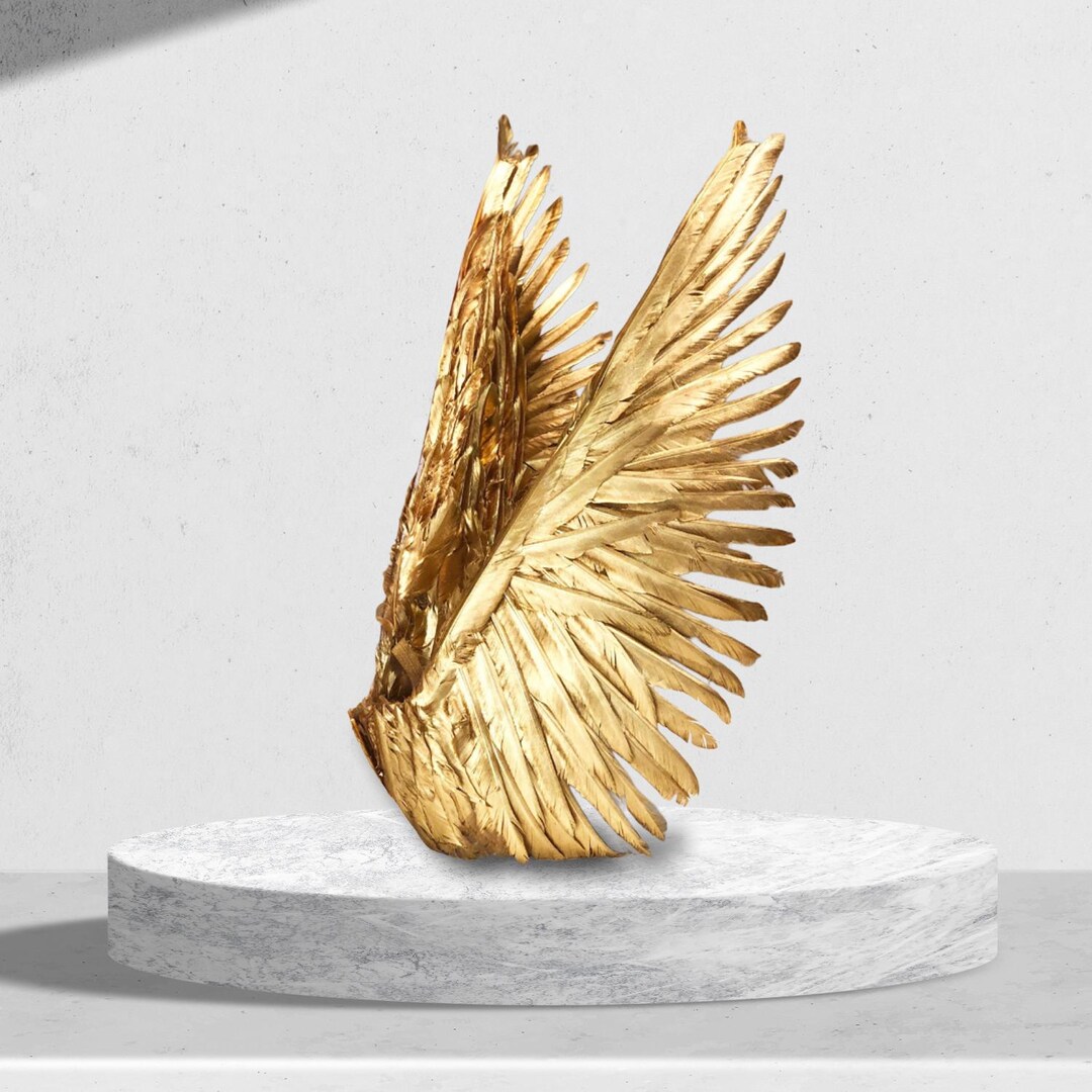 BIHBI X Saltburn Gold Angel Wings. Party Wings for Women - Etsy