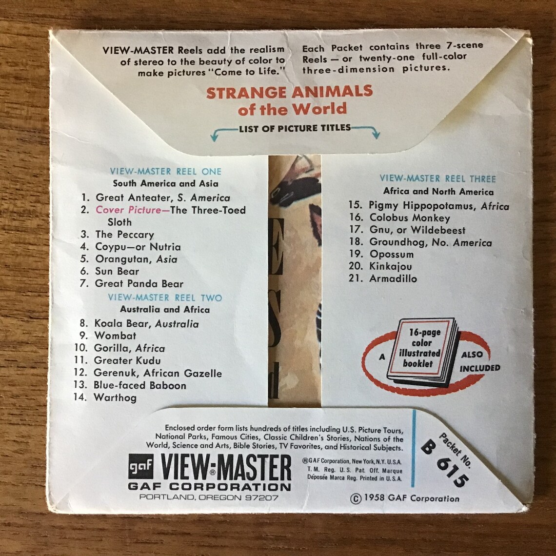 View-master Reels Strange Animals of the World Original Sleeve - Etsy
