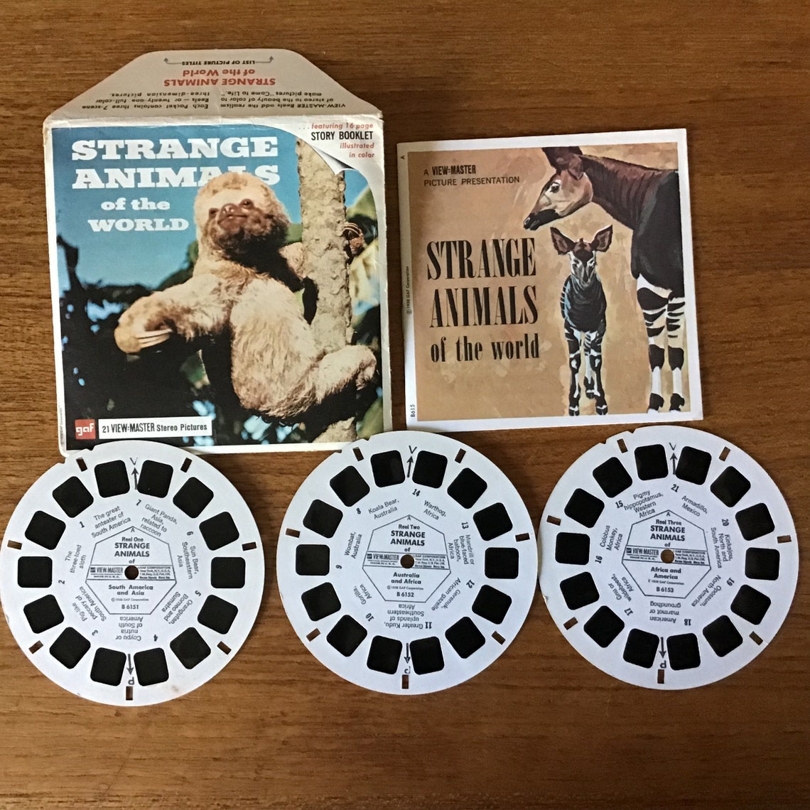 View-master Reels Strange Animals of the World Original Sleeve - Etsy ...