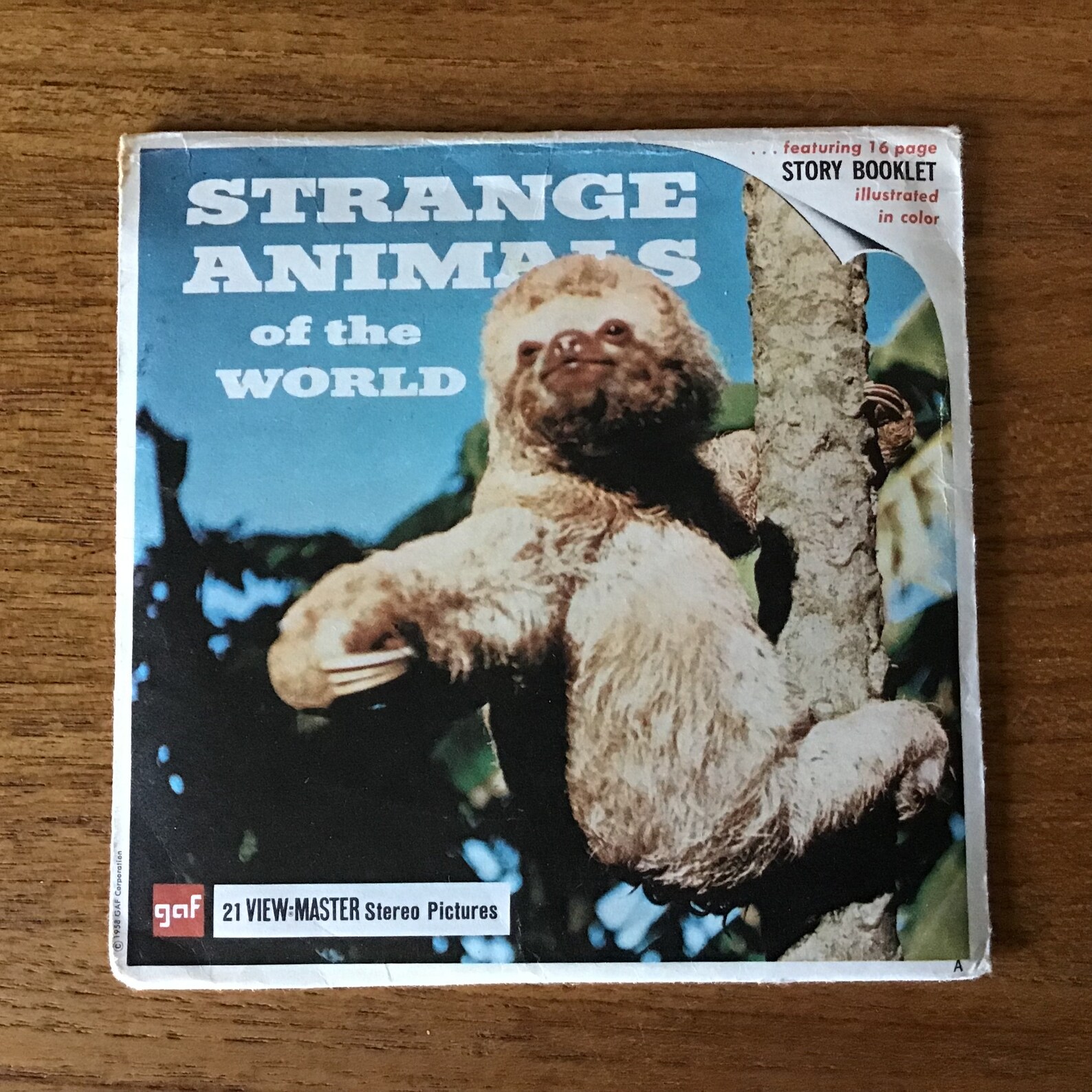 View-master Reels Strange Animals of the World Original Sleeve - Etsy