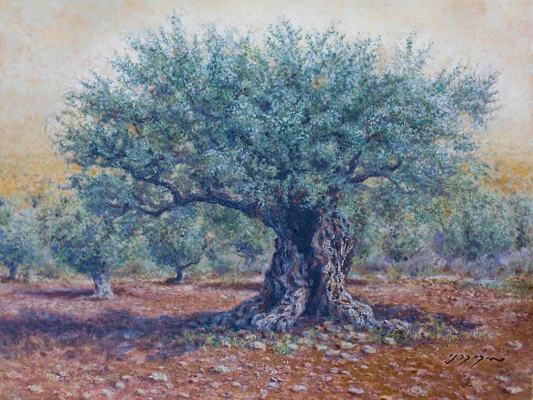 The Proud Olive Tree Giclee Print on Canvas - Ancient Olive Grove Art ...