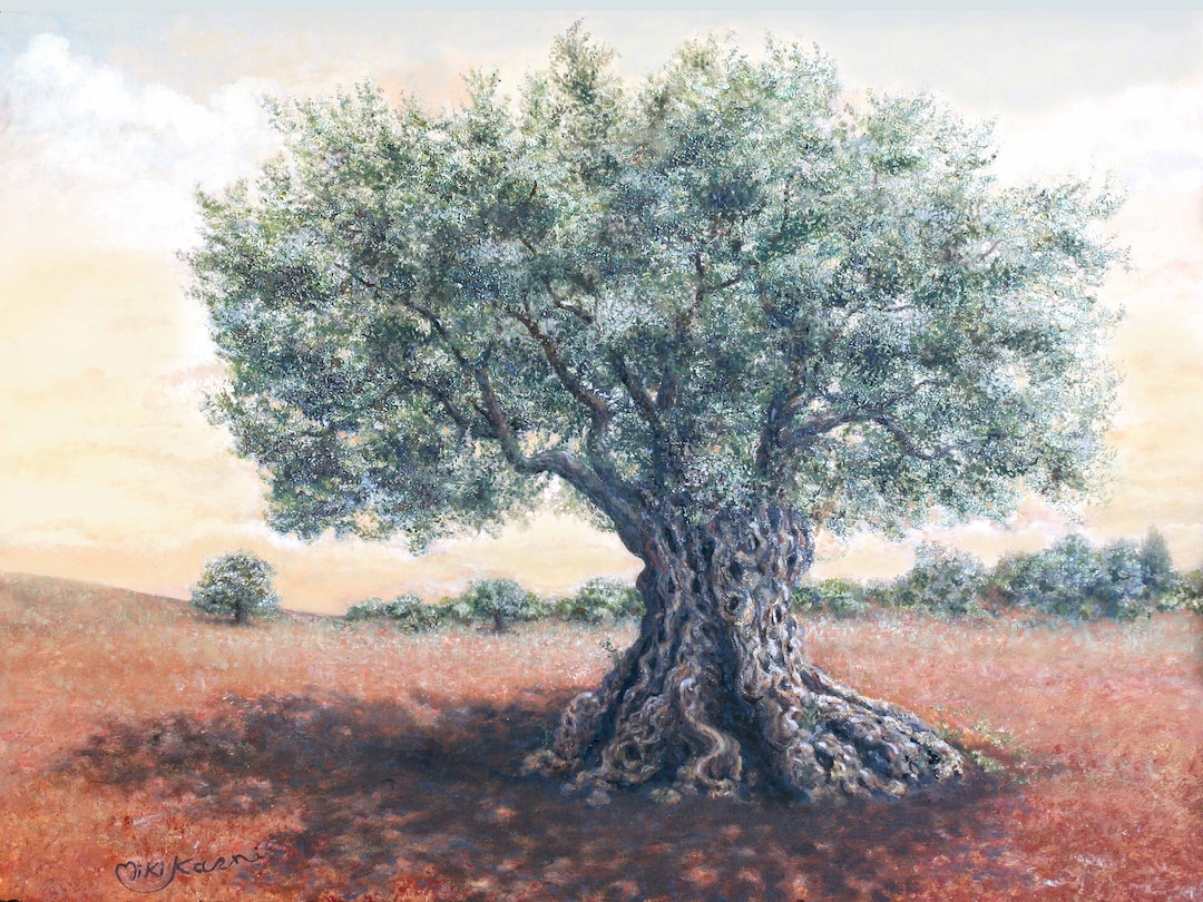 The Great Olive Tree, Olive Tree Painting, Ancient Olive Grove, by Miki ...