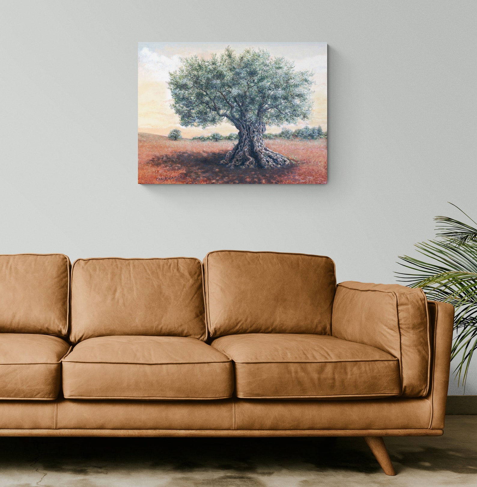 Ancient Olive Tree of Galilee Canvas Print: Signed Limited Edition Holy ...
