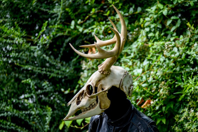 Custom Articulating Stag Skull Mask | Etsy
